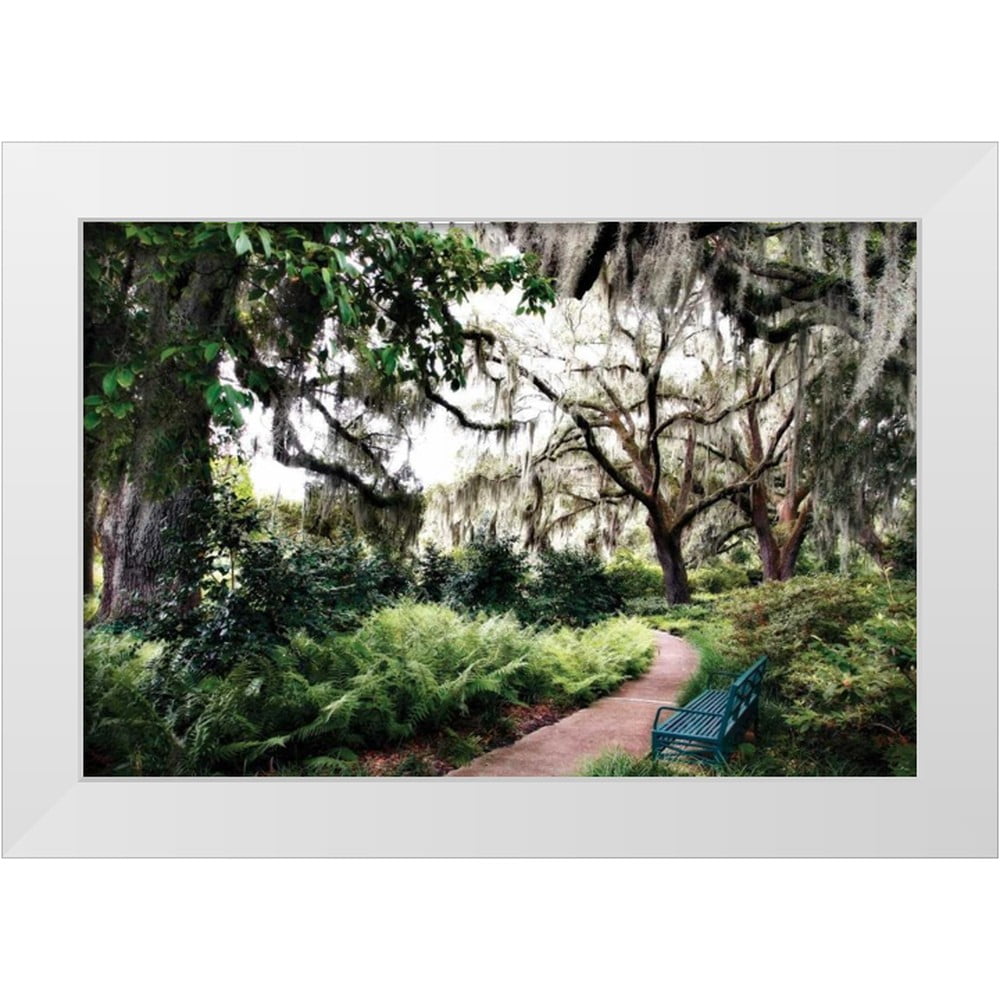 Hausenflock, Alan 14x11 White Modern Wood Framed Museum Art Print ...