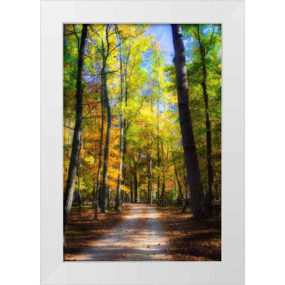 Hausenflock, Alan 17x24 White Modern Wood Framed Museum Art Print Titled - Goose Pond Lane III ...