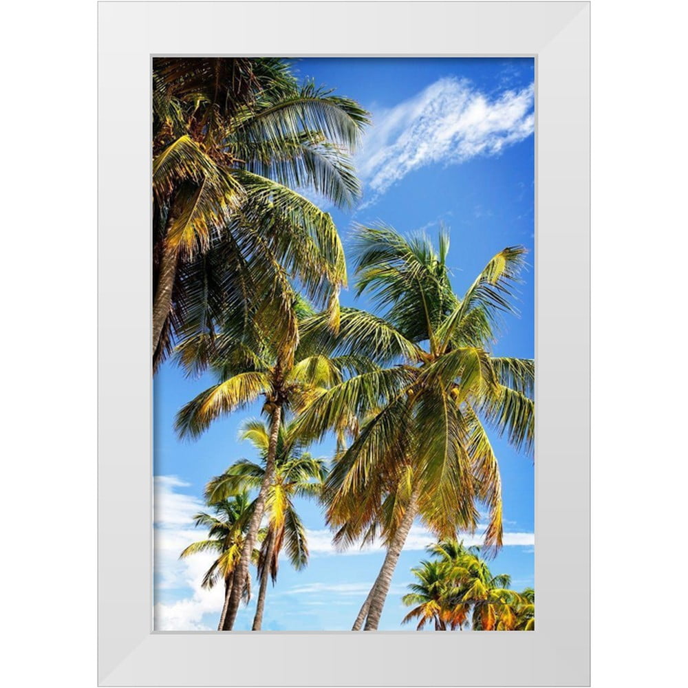 Hausenflock, Alan 17x24 White Modern Wood Framed Museum Art Print Titled - Sunlit Palms ...