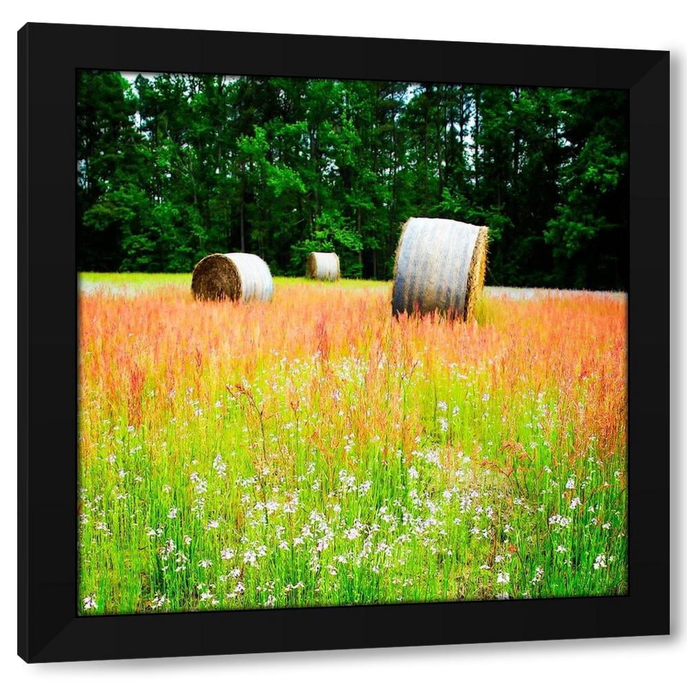 Alan Hausenflock 20x20 Black Modern Wood Framed Wall Art Titled ...