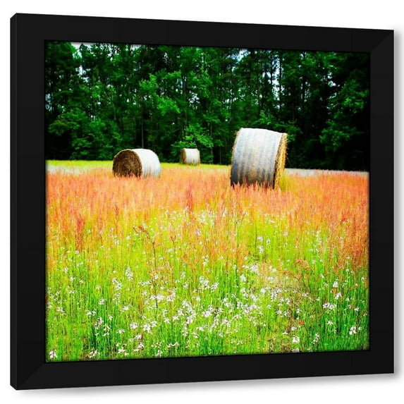 Alan Hausenflock 20x20 Black Modern Wood Framed Wall Art Titled ...