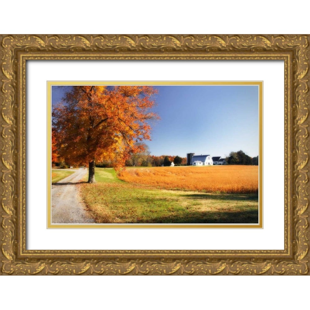 Hausenflock, Alan 24x17 Gold Ornate Wood Framed with Double Matting ...