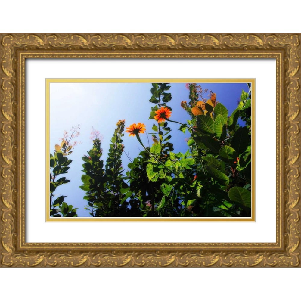 Hausenflock, Alan 24x17 Gold Ornate Wood Framed with Double Matting ...