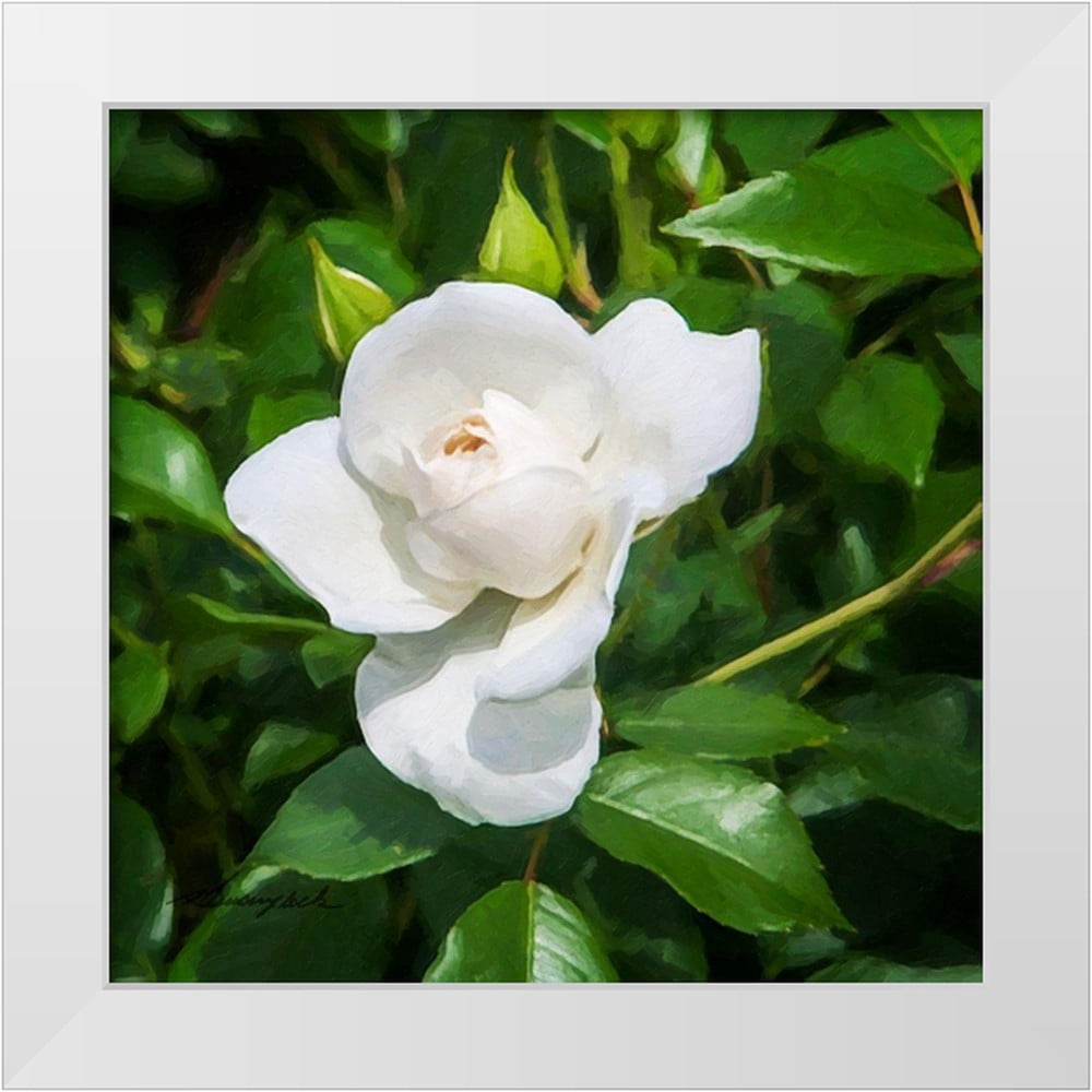 Hausenflock, Alan 26x26 White Modern Wood Framed Museum Art Print ...