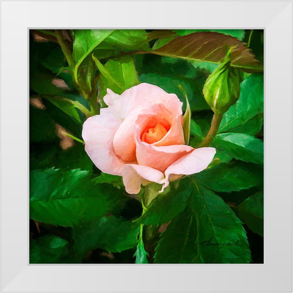 Hausenflock, Alan 26x26 White Modern Wood Framed Museum Art Print ...