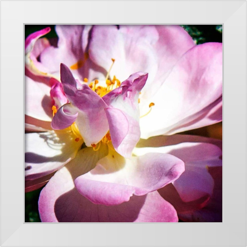 Hausenflock, Alan 26x26 White Modern Wood Framed Museum Art Print ...