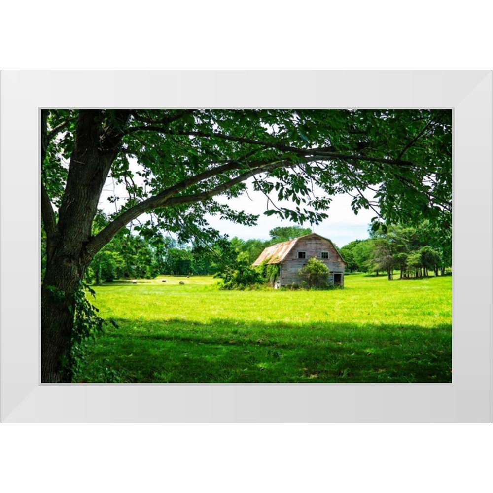 Hausenflock, Alan 32x23 White Modern Wood Framed Museum Art Print ...