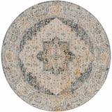Hauteloom Alief Living Room, Bedroom Area Rug - Gray, Beige, Red - 7'10 ...
