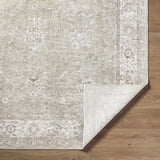 Hauteloom Ashraf Living Room, Bedroom Area Rug - Traditional - Beige ...