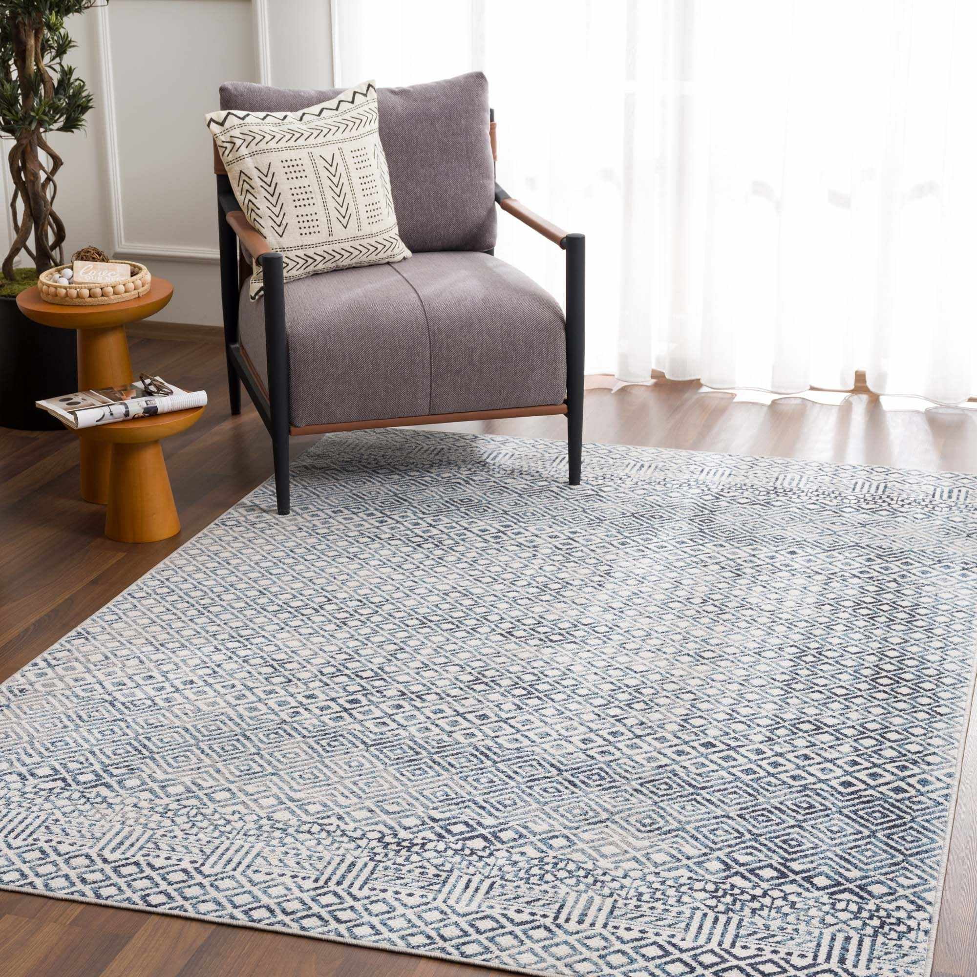 Hauteloom Askeaton Living Room, Bedroom Machine Washable Area Rug ...