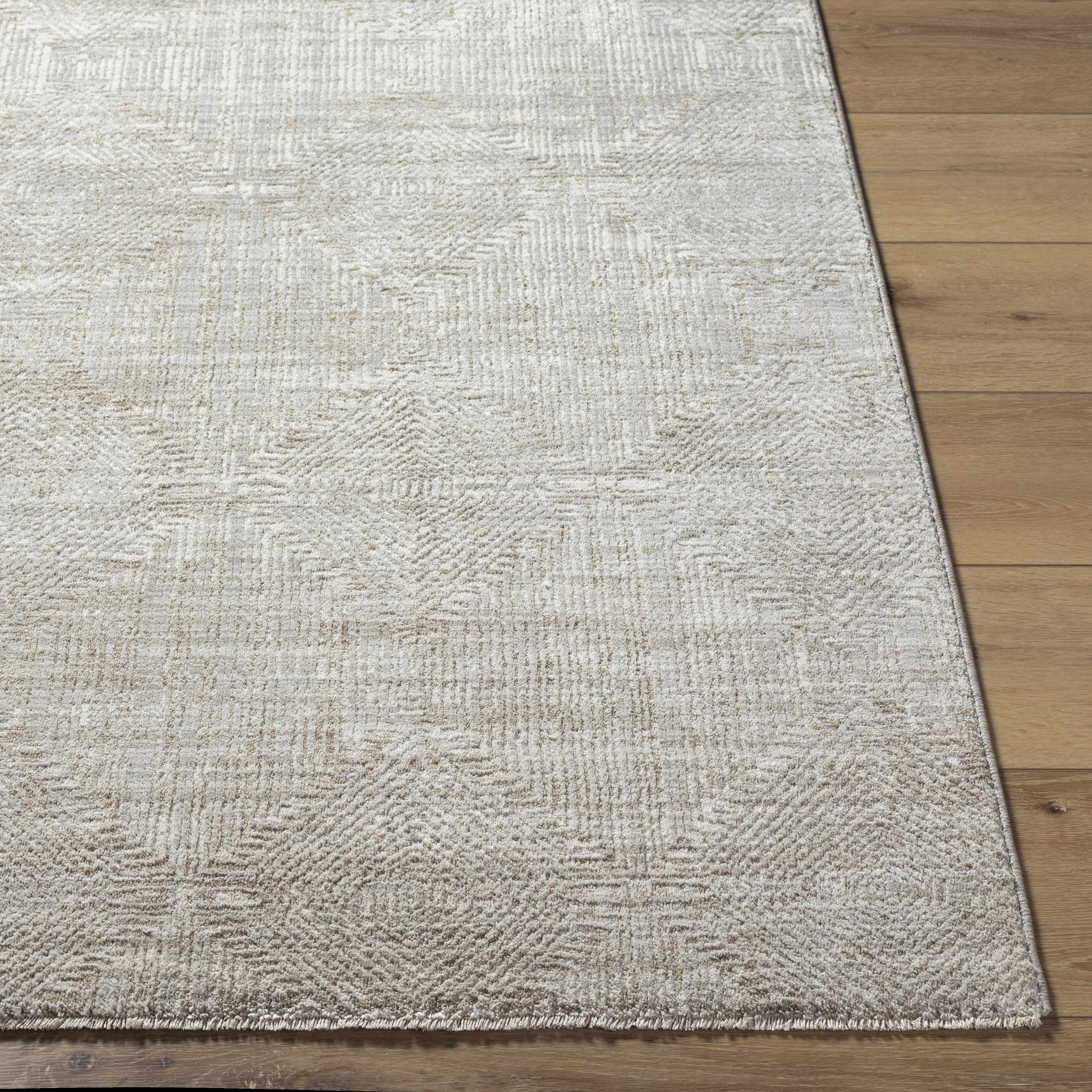 Hauteloom Dekan Living Room, Bedroom Area Rug - Traditional - 7'10" x ...