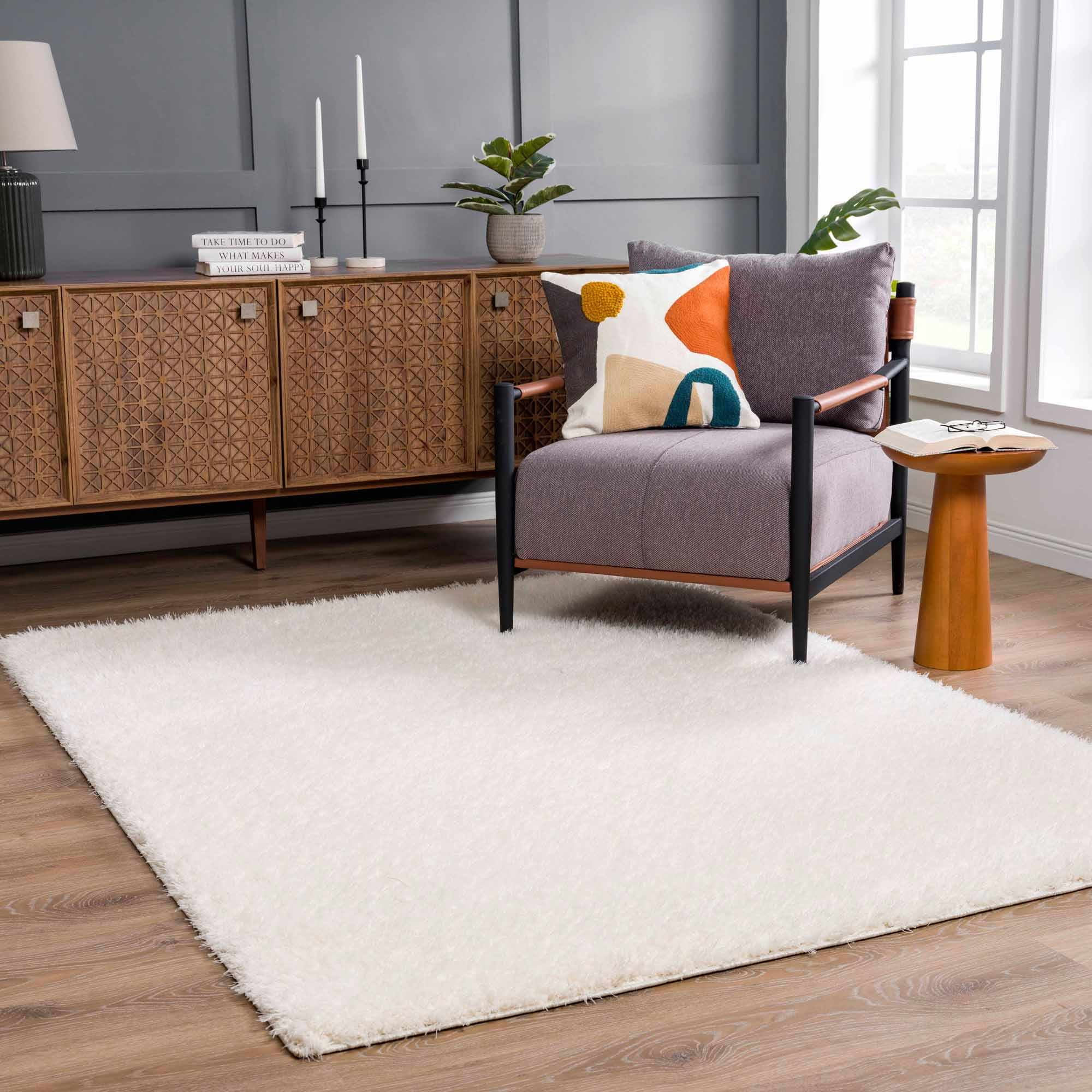 Hauteloom Faina Machine Washable Solid Shag Rug - Plain Living Room ...