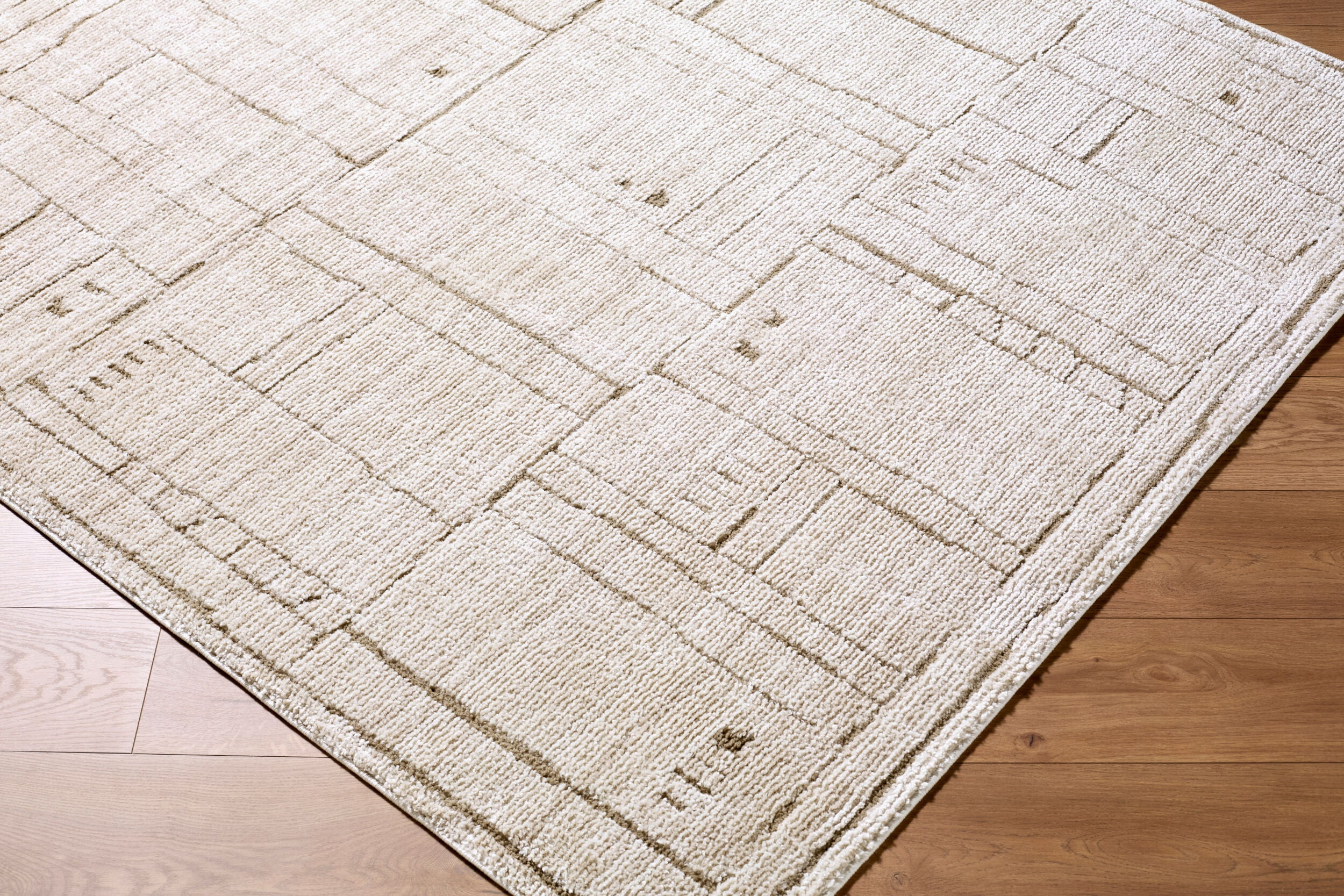 Hauteloom Farida Living Room, Bedroom Area Rug - Contemporary - Taupe ...