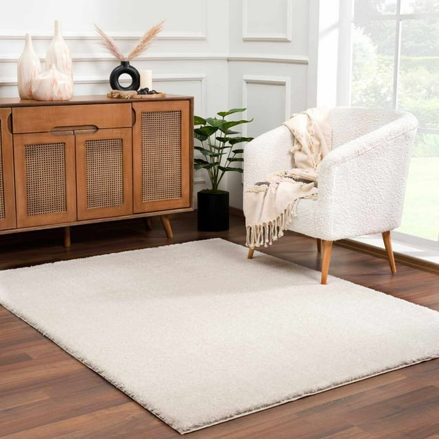 Hauteloom Heavenly Living Room, Bedroom Area Rug - Contemporary - Plush ...