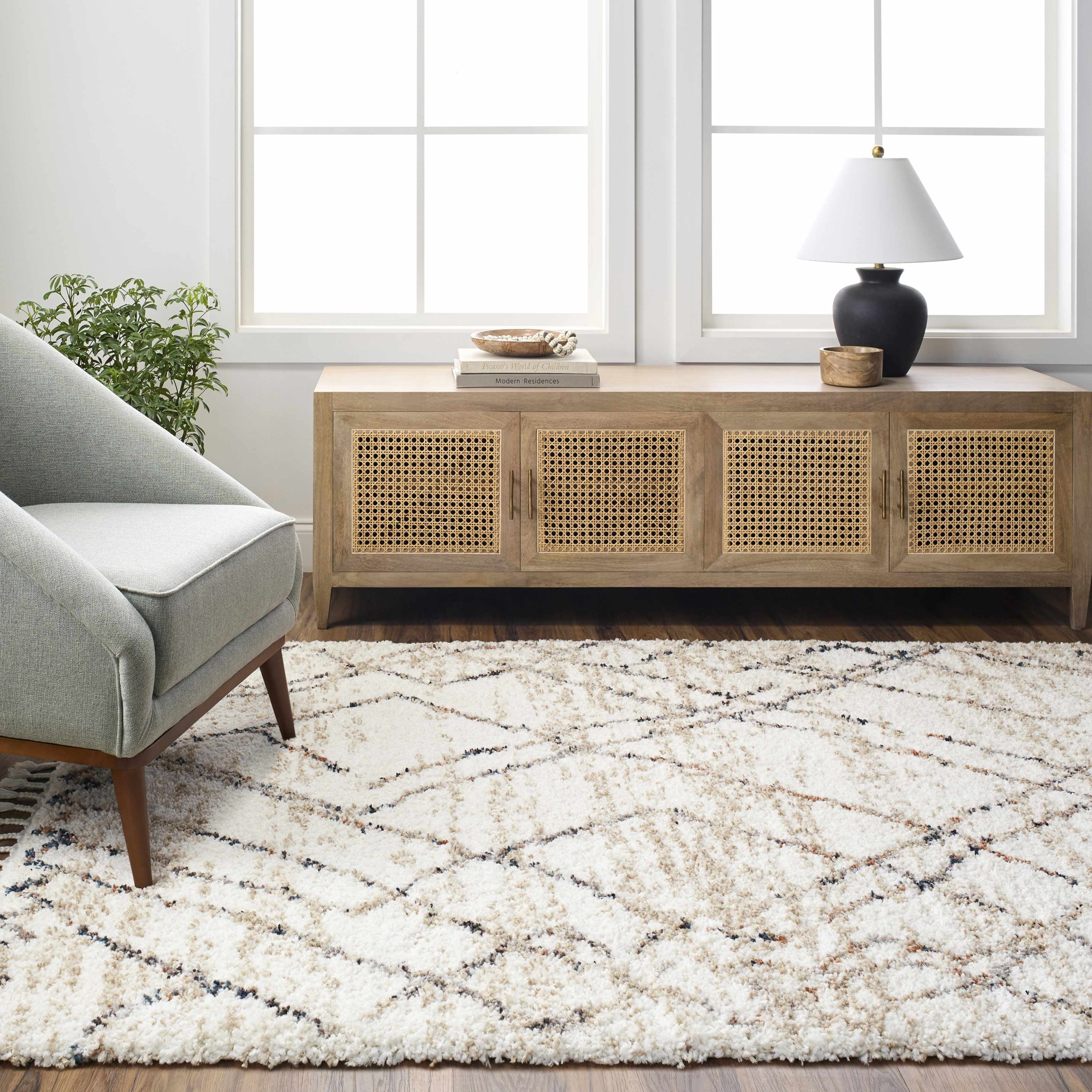 Hauteloom Hersz Living Room, Bedroom Area Rug - Plush Pile - Beige ...