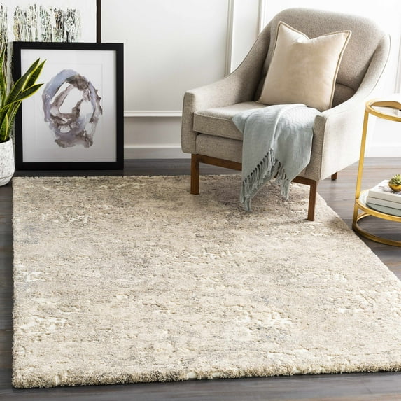 Hauteloom Holtsville Living Room, Bedroom Area Rug - Modern - High Pile ...