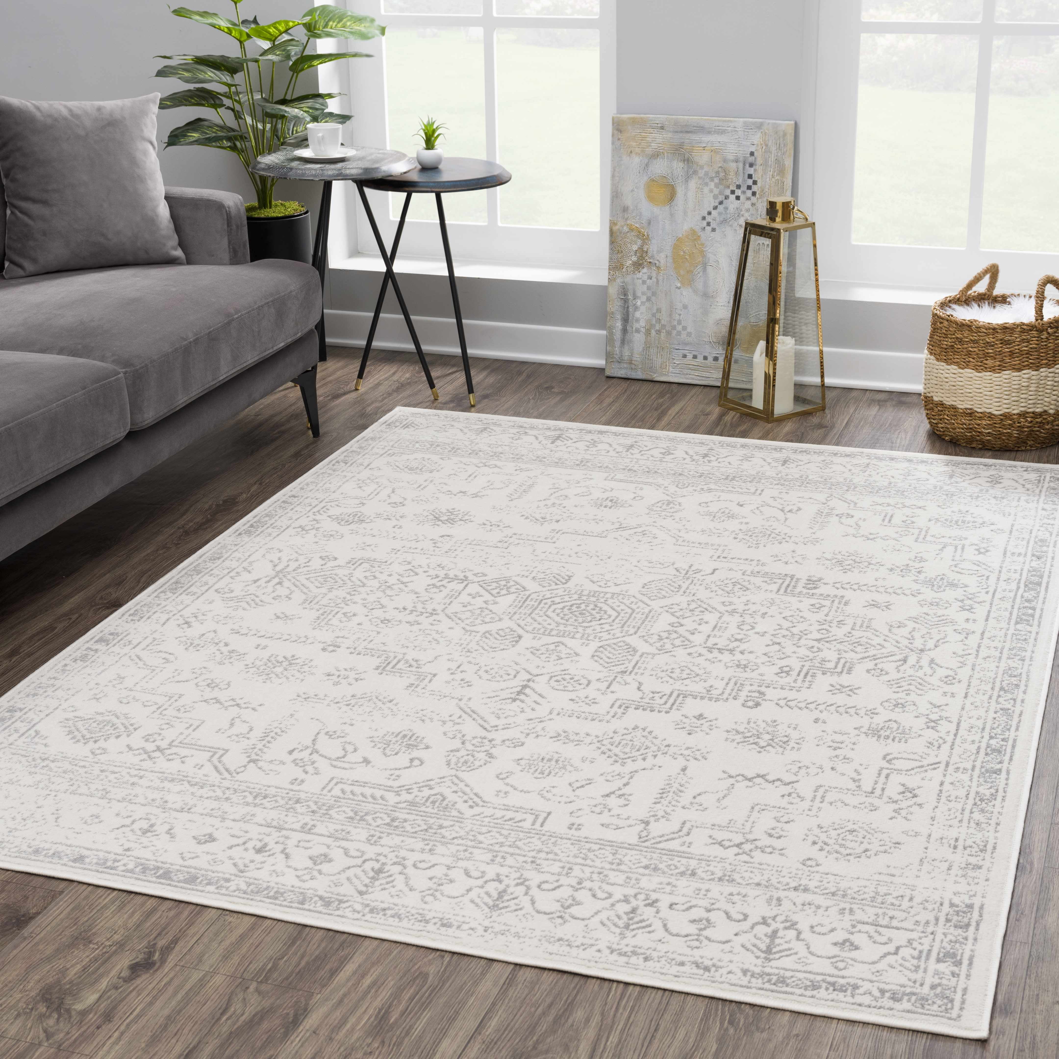 Hauteloom Neutral Collection Trier Oriental Farmhouse Living Room ...