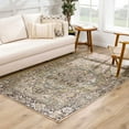 Hauteloom Neyland Oriental Living Room Area Rug - Traditional Authentic ...