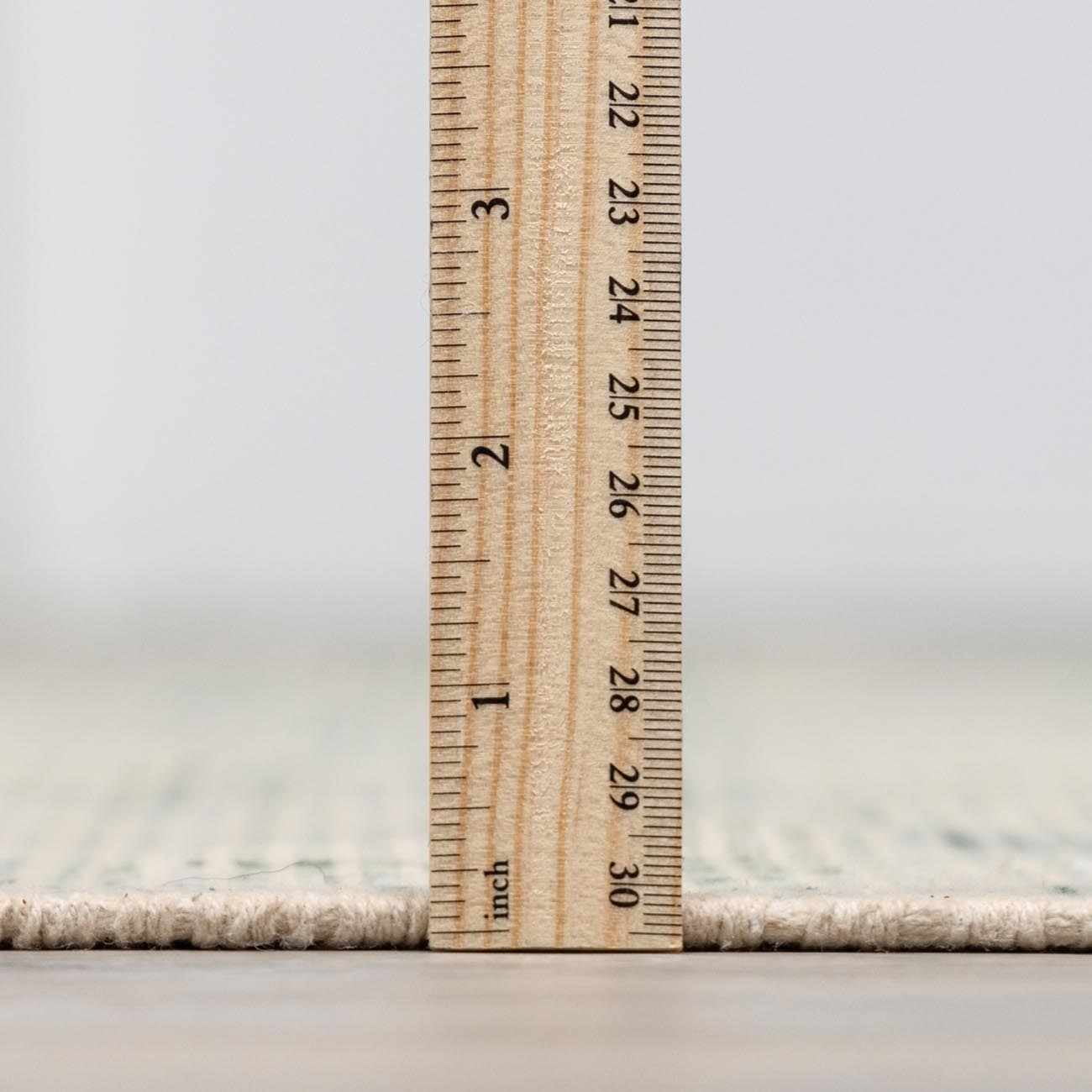 Hauteloom Penkridge Hand Woven Traditional Vintage Area Rug for Living ...