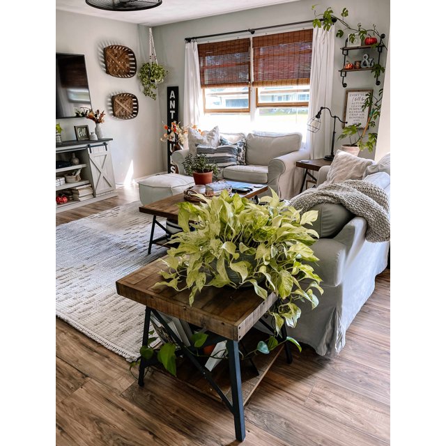 Hauteloom Poydras Farmhouse Living Room Bedroom Modern Moroccan Area ...