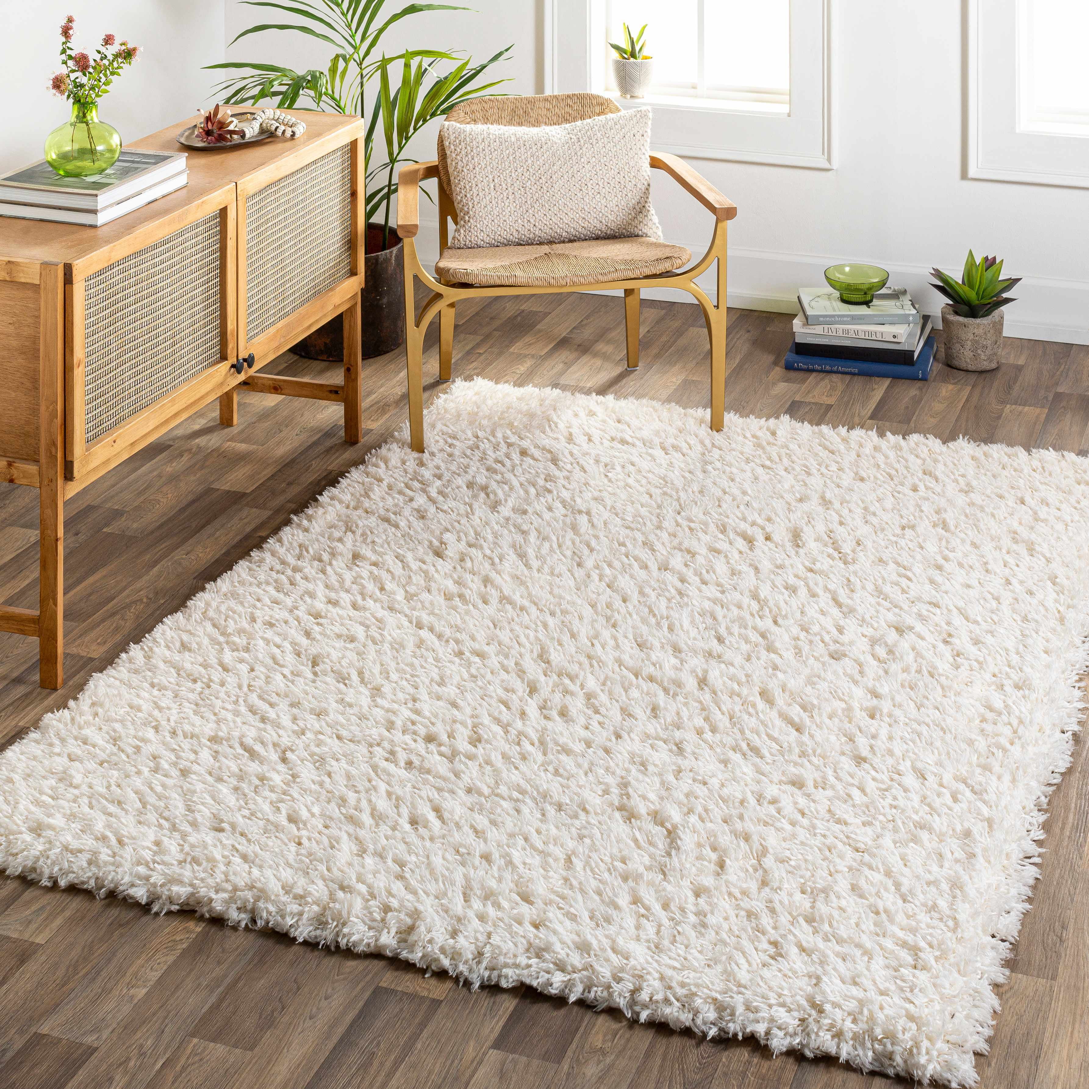 Hauteloom Siari Living Room, Bedroom Shaggy Area Rug - Solid Shag ...