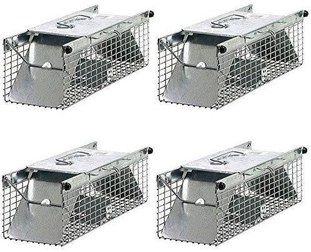Havahart 1025 Small 2-Door Live Animal Trap Ideal for catching ...
