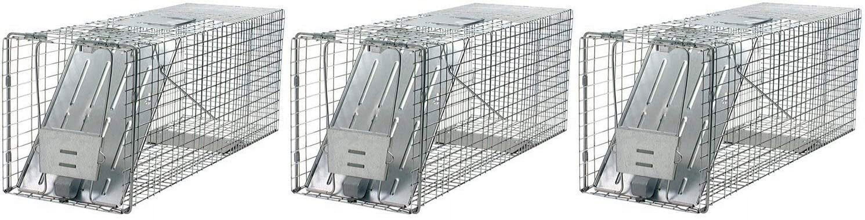 Havahart 1079 Large 1-Door Humane Animal Trap for Raccoons, Cats ...