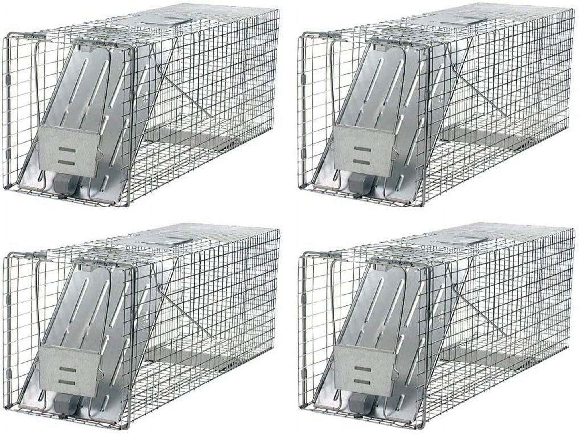 Havahart 1079 Large 1-Door Humane Animal Trap for Raccoons, Cats ...