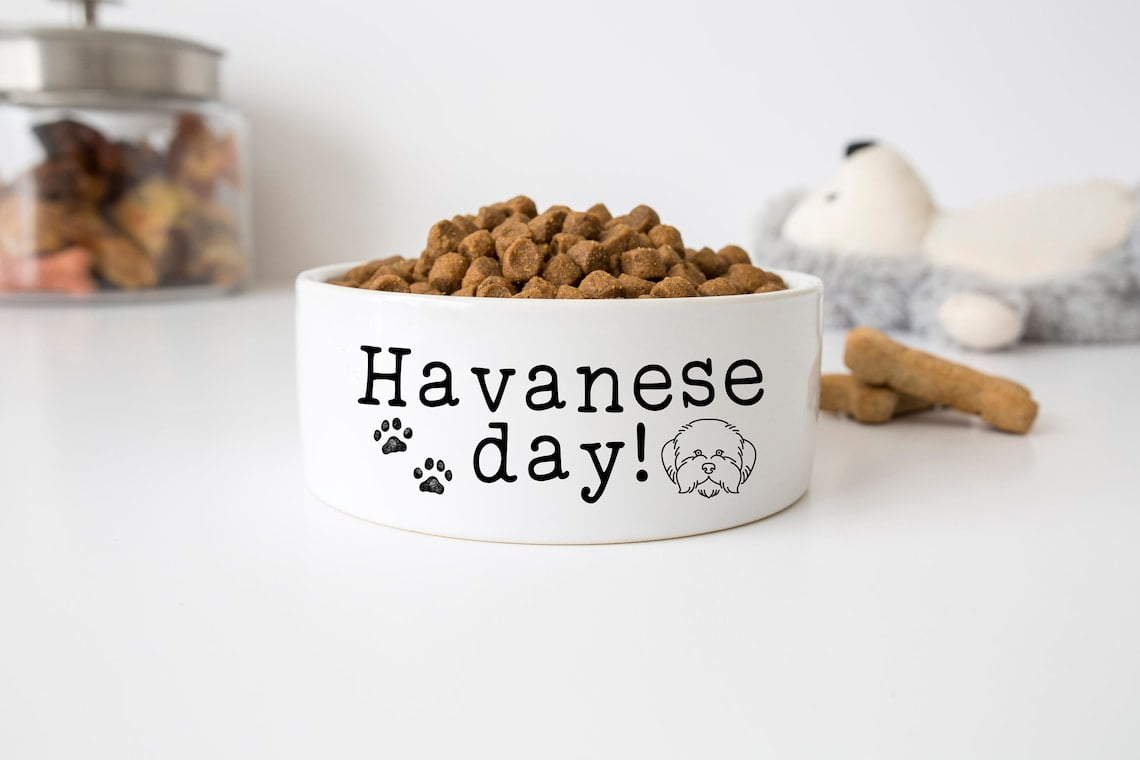 Havanese Dog Bowl Havanese Day Funny Dog Bowl Havanese Puppy Ceramic ...