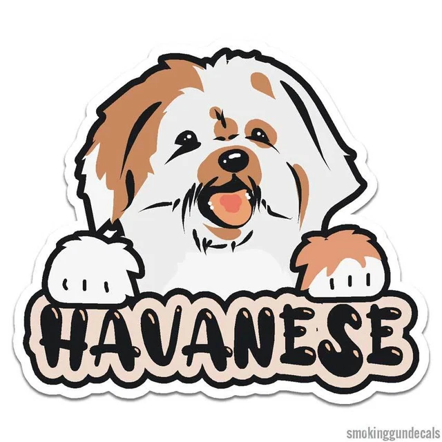 Havanese Dog Puppy Sticker Indoor Outdoor Phone Decal Water Bottle ...