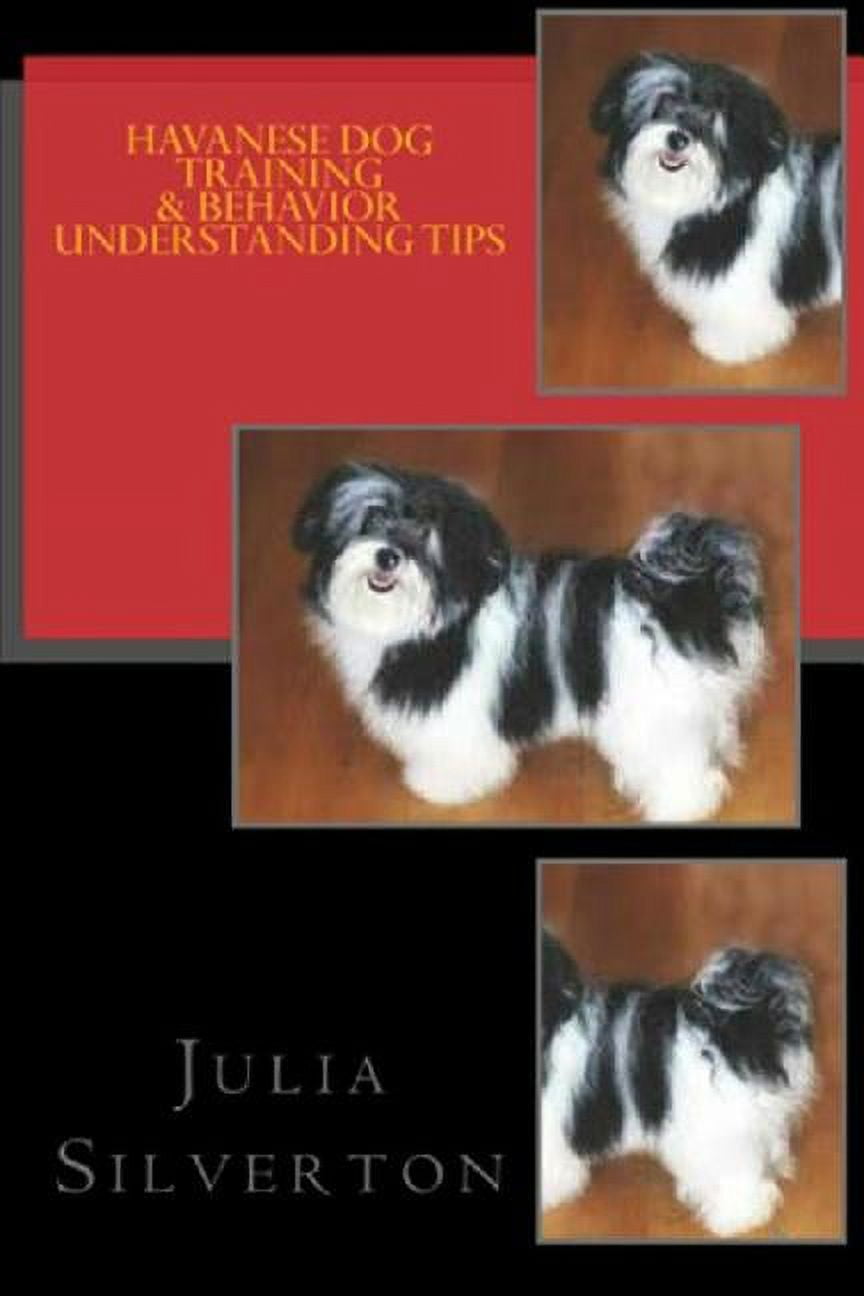Havanese Dog Training & Behavior Understanding Tips (Paperback ...