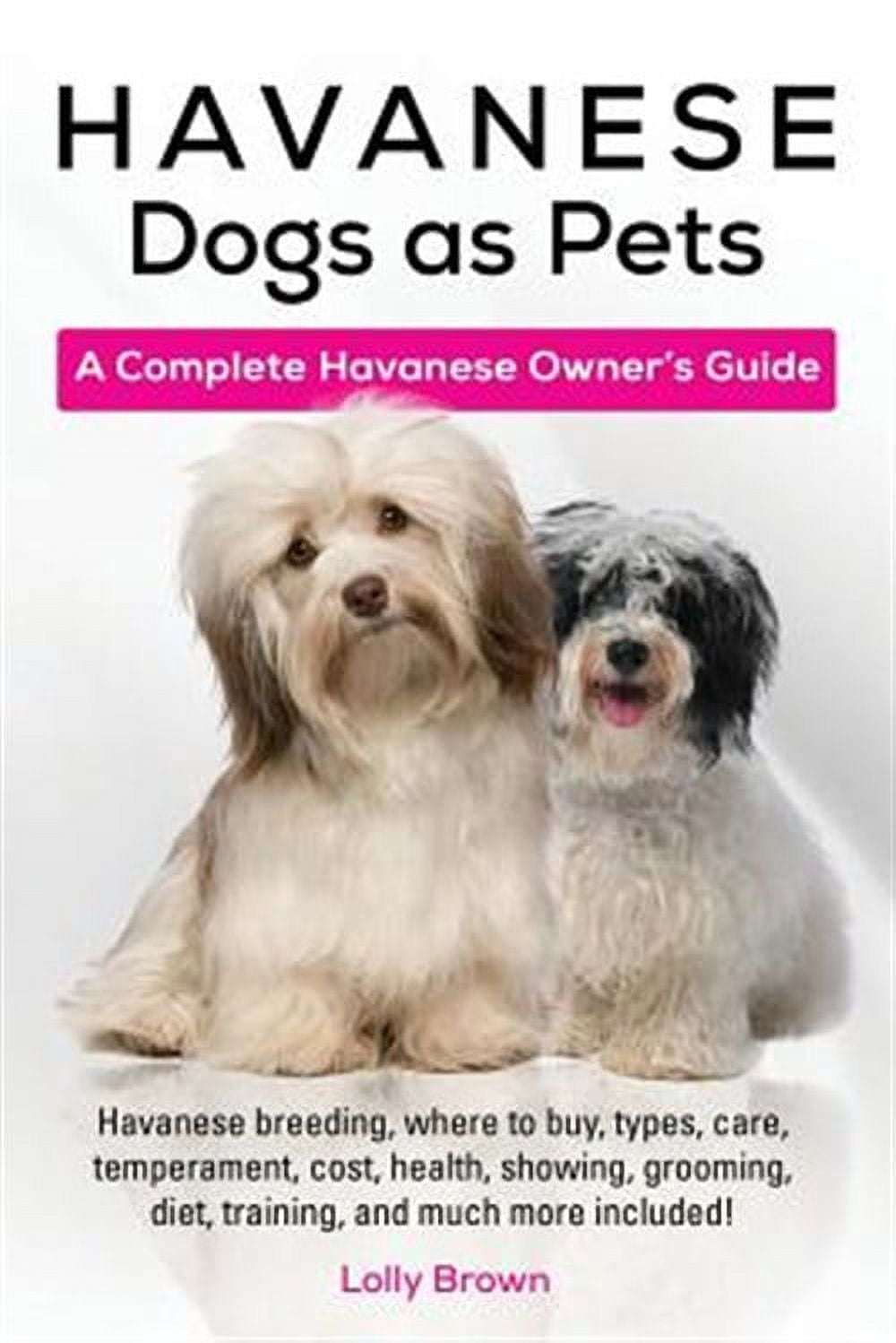 Havanese Dogs as Pets: Havanese Breeding, Where to Buy, Types, Care ...
