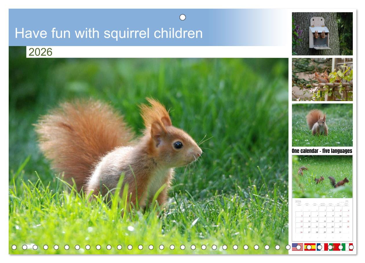 Have fun with squirrel children (Monthly Wall Calendar 2026 11.7 x 16.5 ...