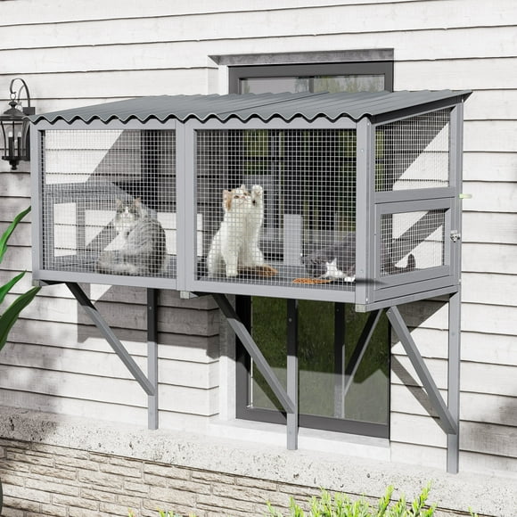 Catio Window