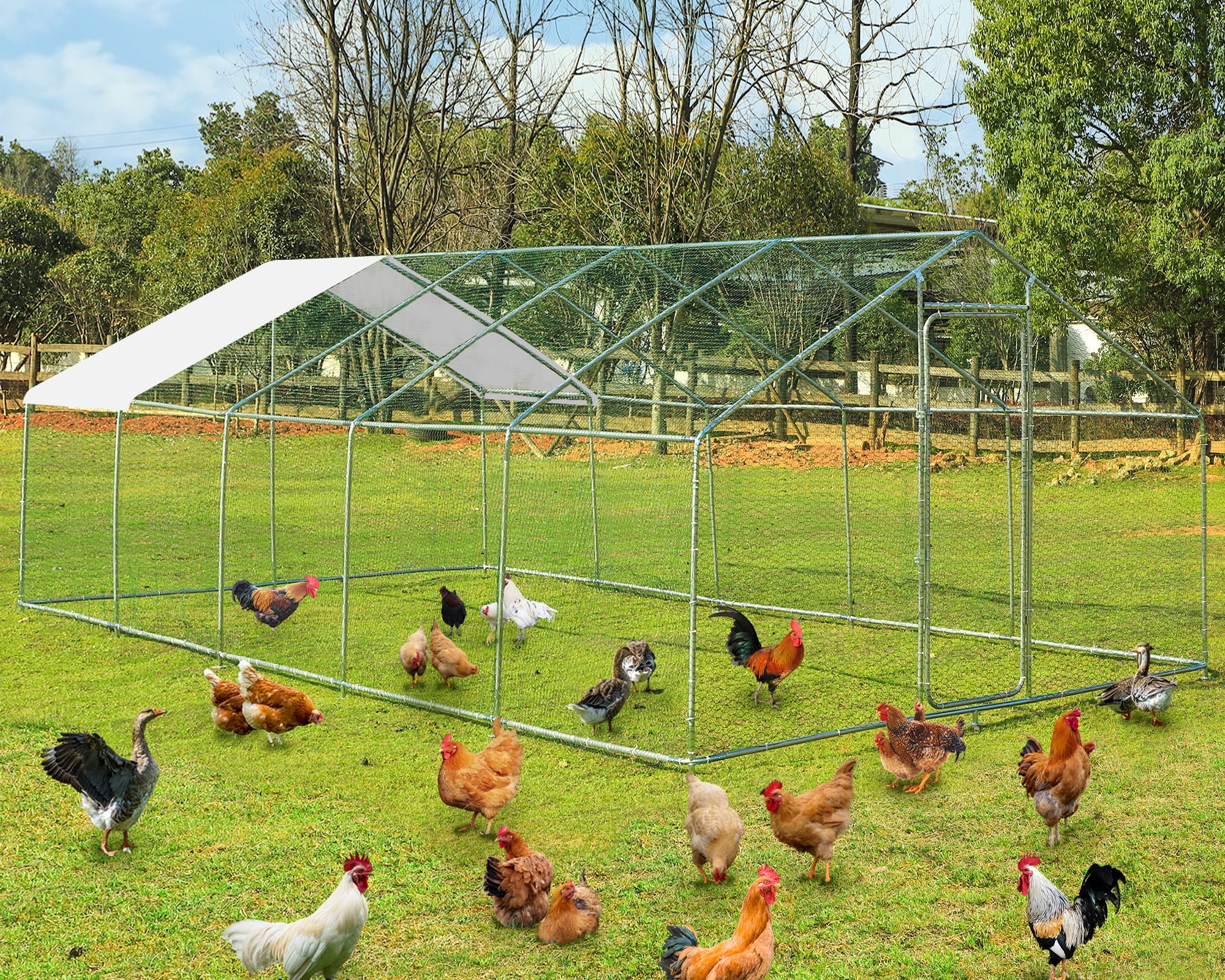 Haverchair Large Chicken Coop Walk-in Outdoor Chicken Run Metal Chicken ...