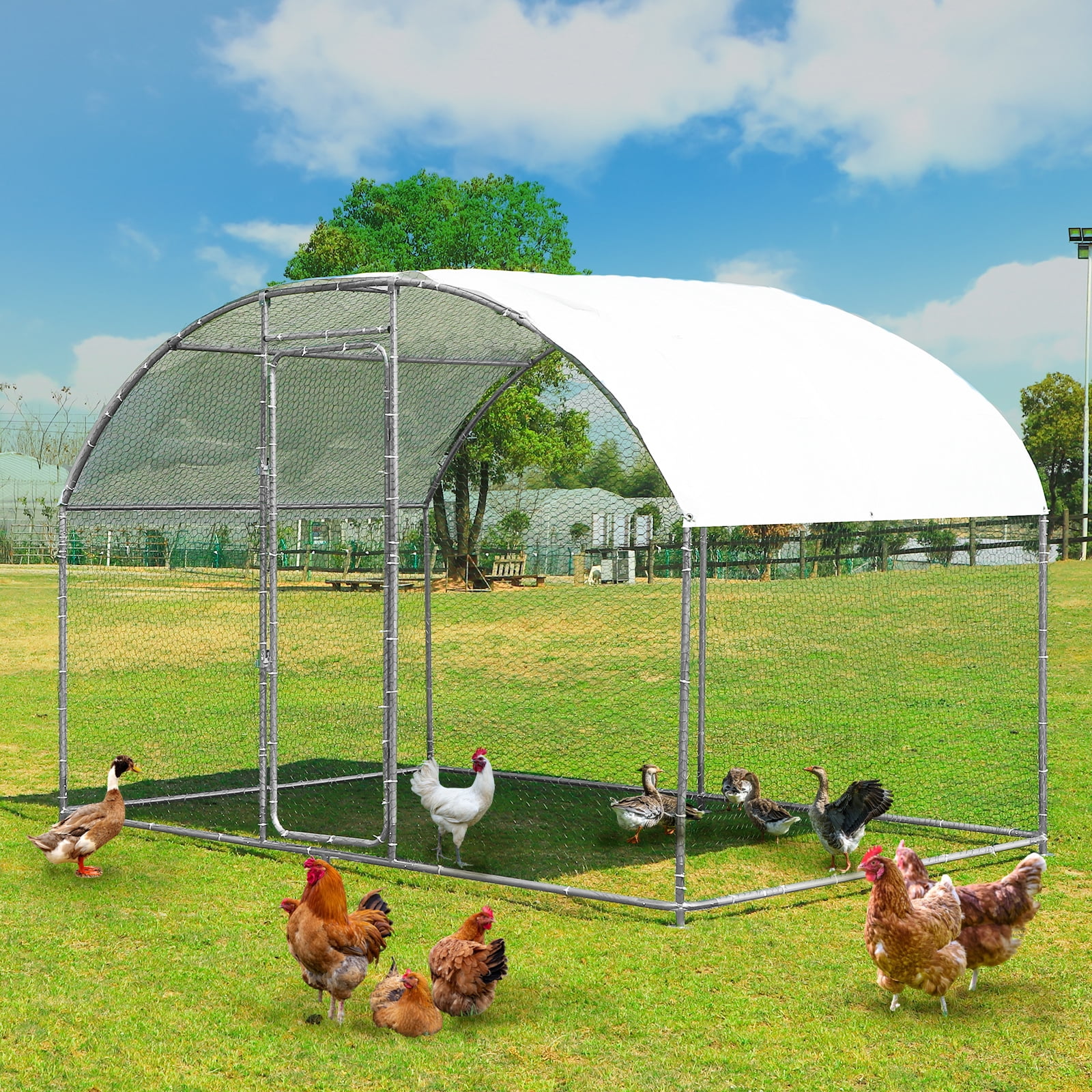 Duck Fence