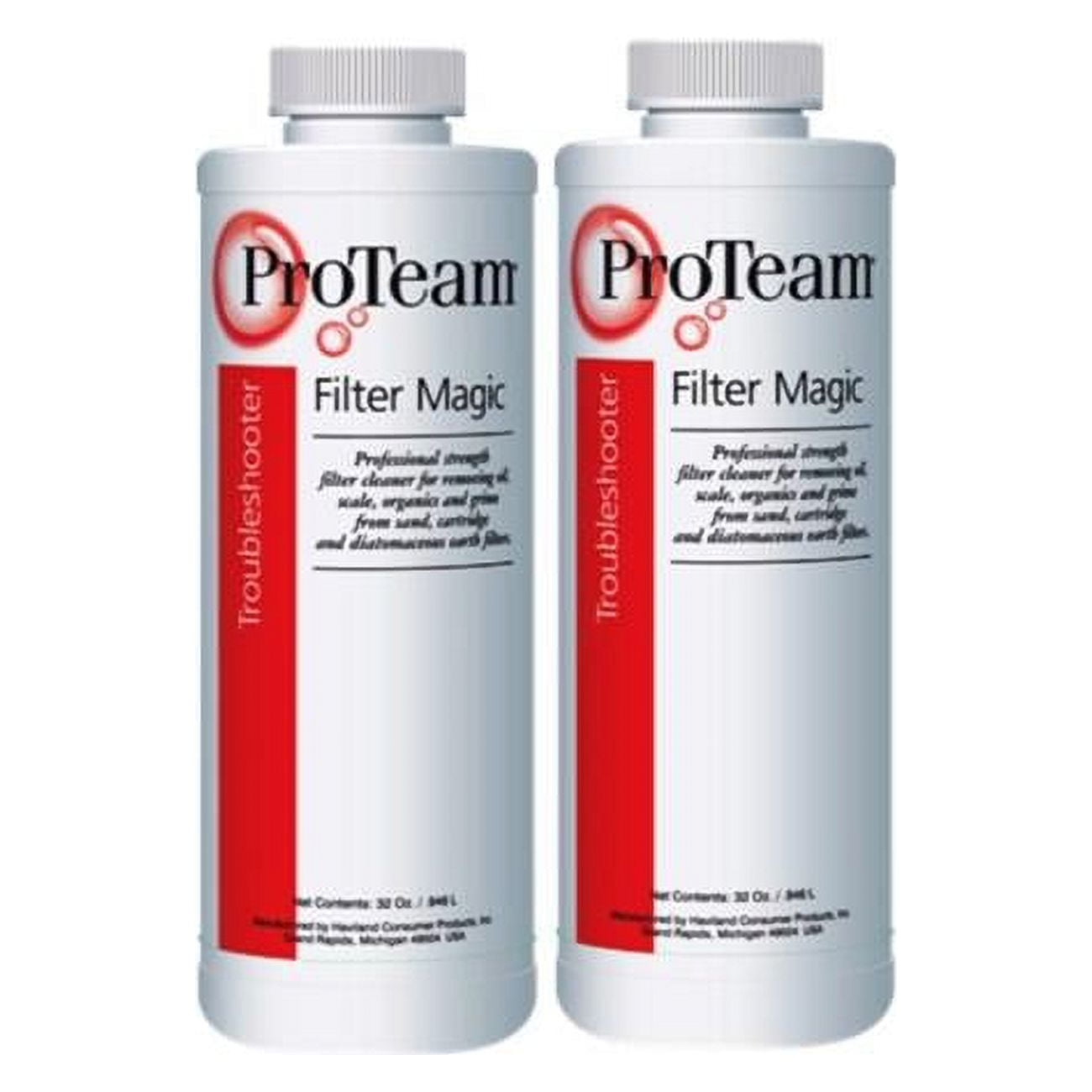 ProTeam 1 qt Metal Magic Stain Scale Remover, Calcium Iron Out for Pools - Walmart.com