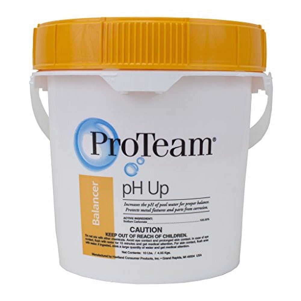 ProTeam pH Up 10 lb Pool & Spa Alkaline Balancer, Increases pH Levels - Walmart Business Supplies