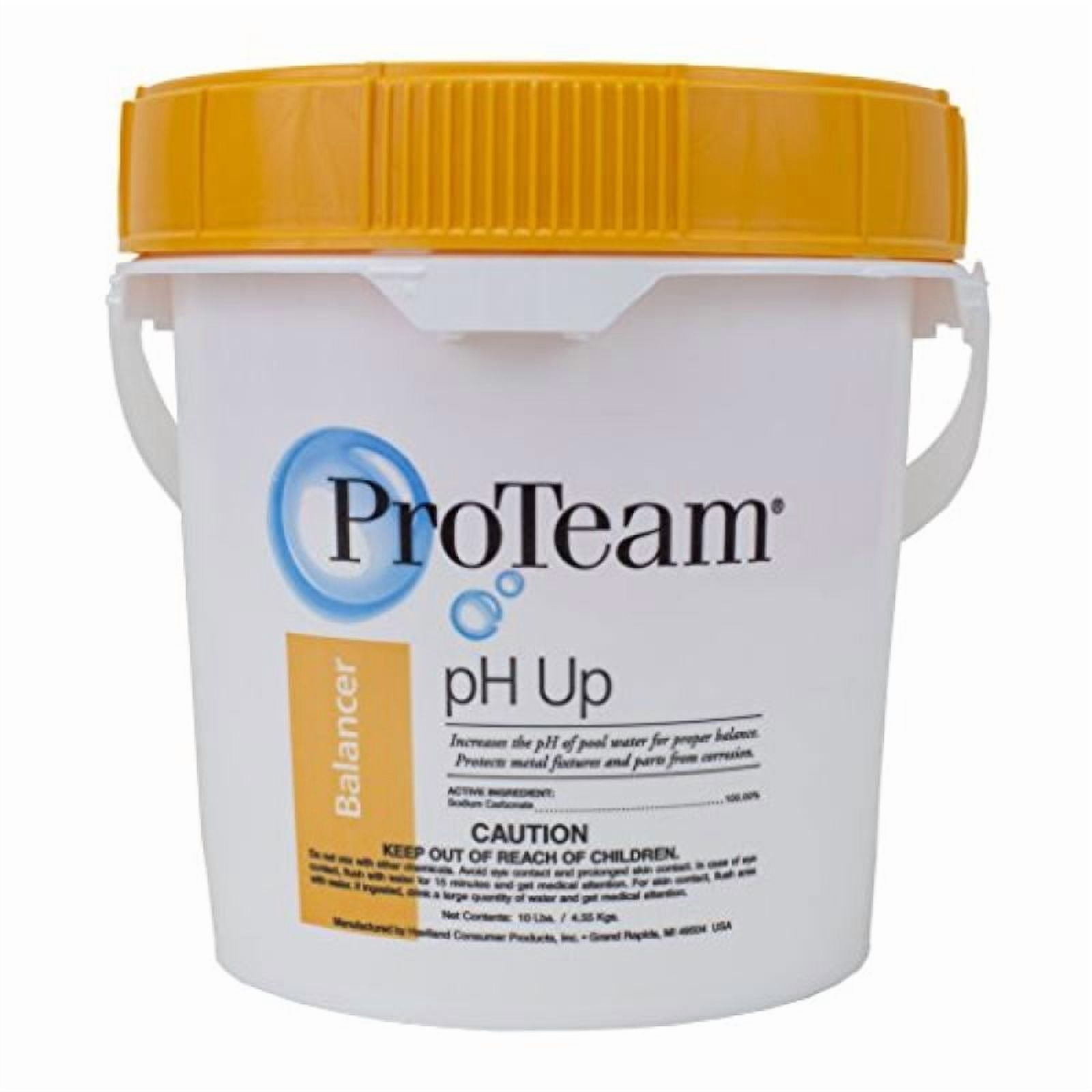 ProTeam Alkaline Maintenance pH Up 10 lb, Increases pH Levels in Pools ...