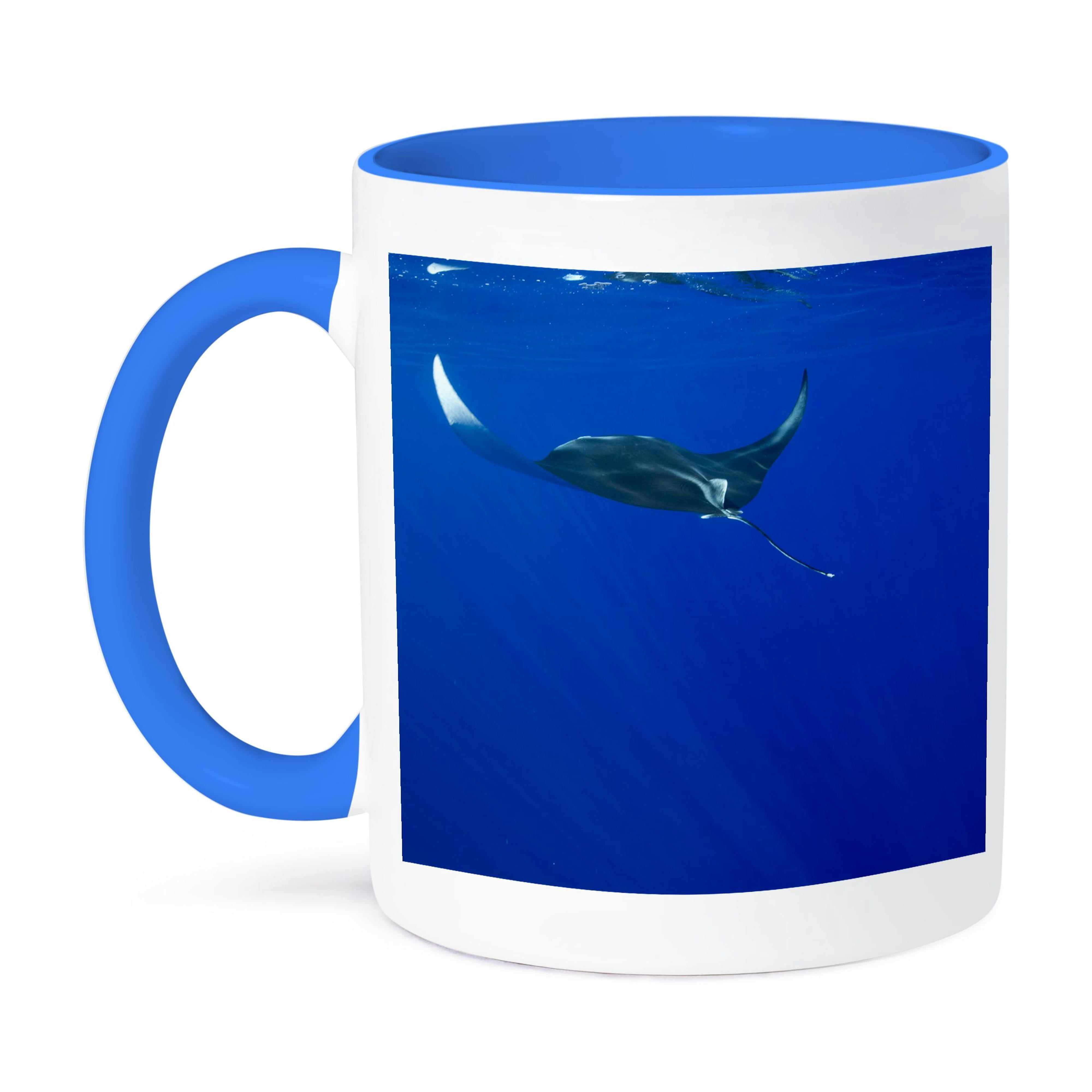 Hawaii, Big Island, Manta Ray Marine Life - Us12 Pso0033 - Paul Souders ...