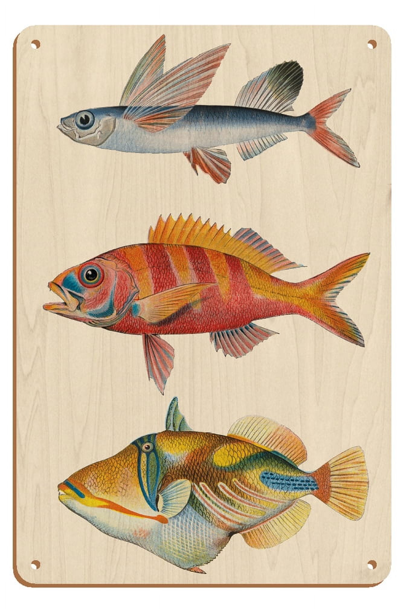 Hawaii Fish Triptych - Flying Fish (Malolo) Ruby Snapper Onaga (Ula'ula ...