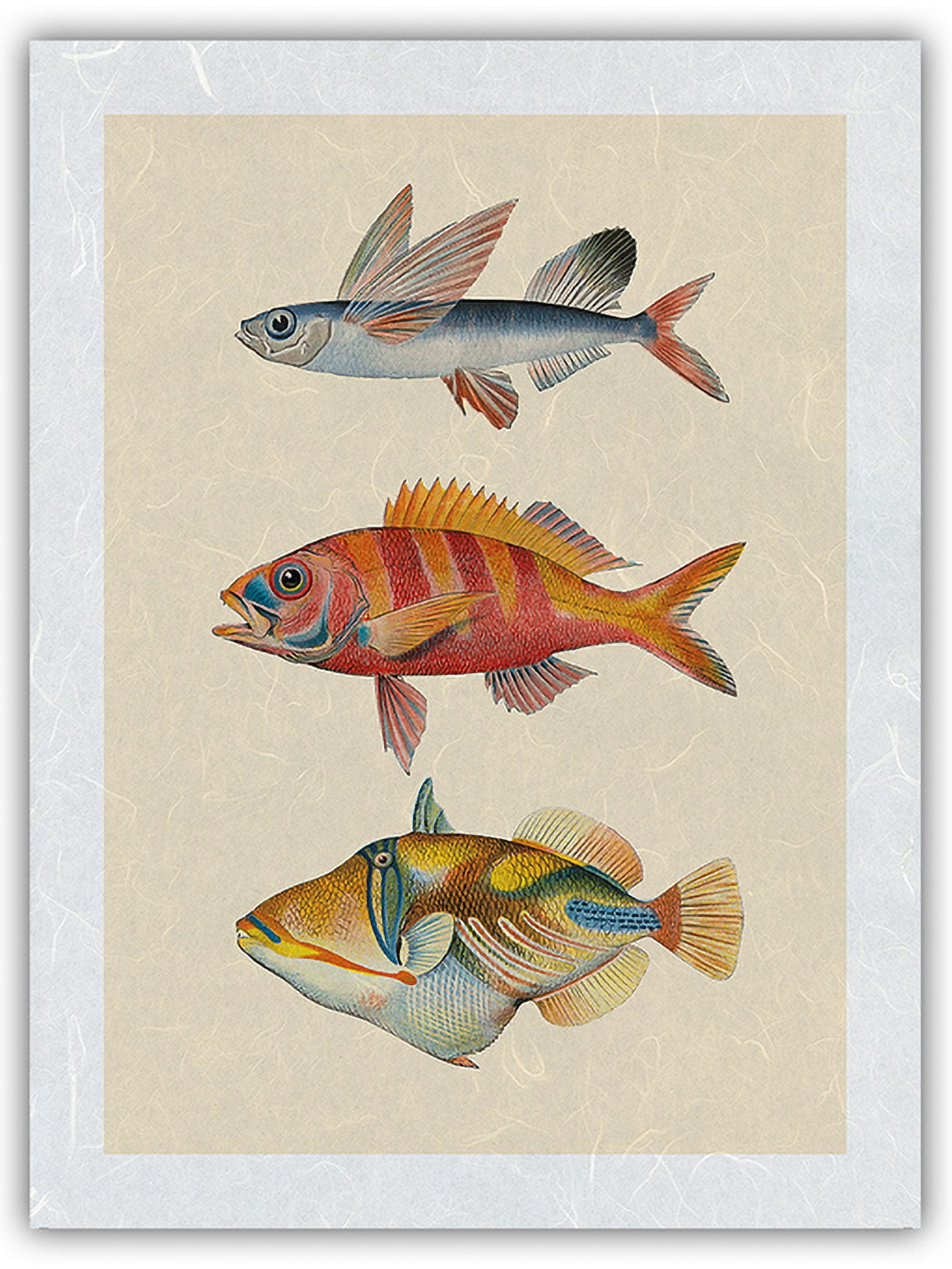 Hawaii Fish Triptych - Flying Fish (Malolo) Ruby Snapper Onaga (Ula'ula ...