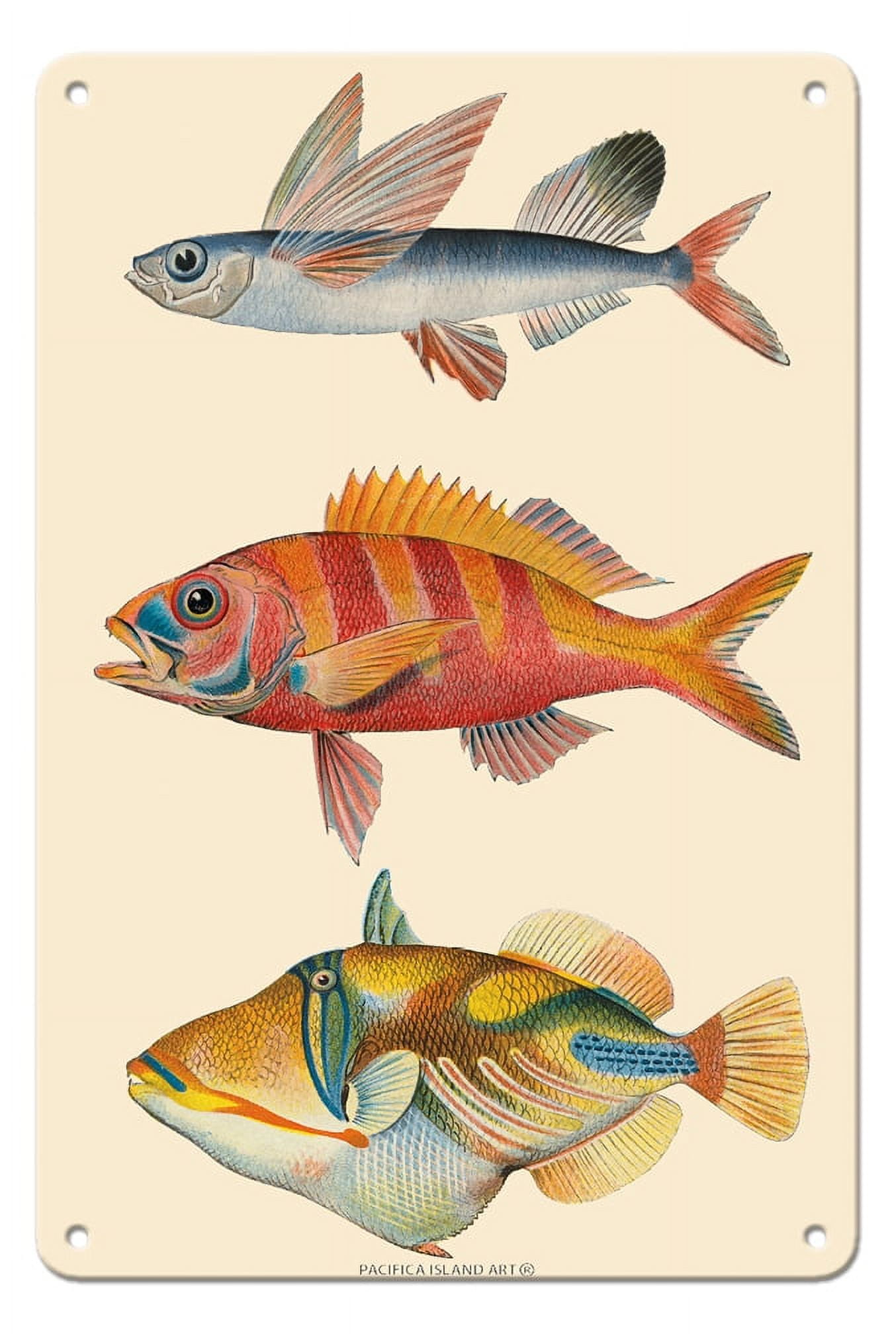 Hawaii Fish Triptych - Flying Fish (Malolo) Ruby Snapper Onaga (Ula'ula ...