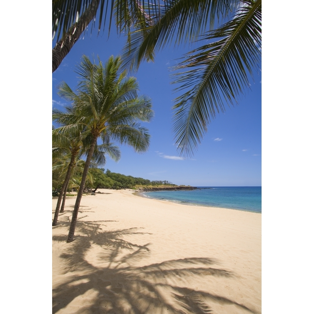 Hawaii Lanai Hulopoe Beach Palm Trees And Shadows Along Sandy Beach And ...