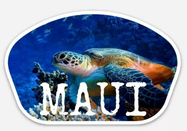 Hawaii Maui Turtle Sticker - Island Beach Surfing Surf Shop Hawaiian ...