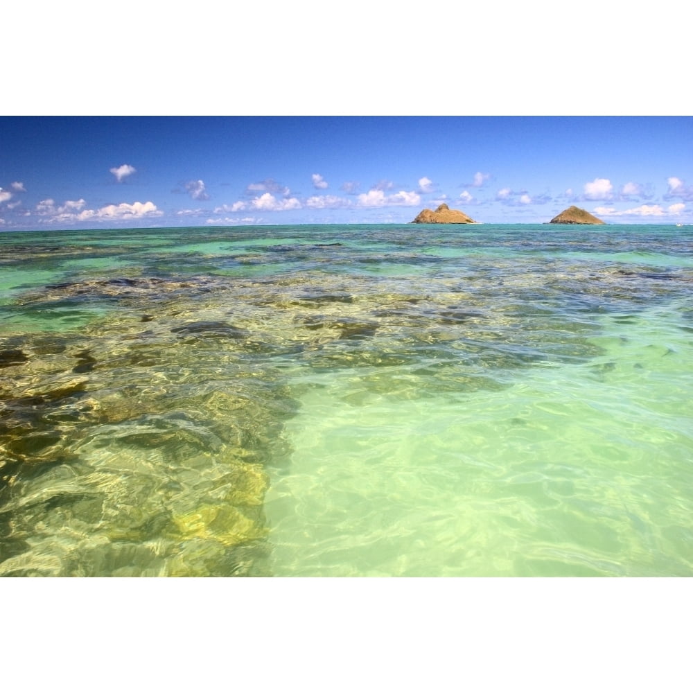 Hawaii, Oahu, Lanikai, Mokulua Islands, Coral Head Poster Print (36 x ...