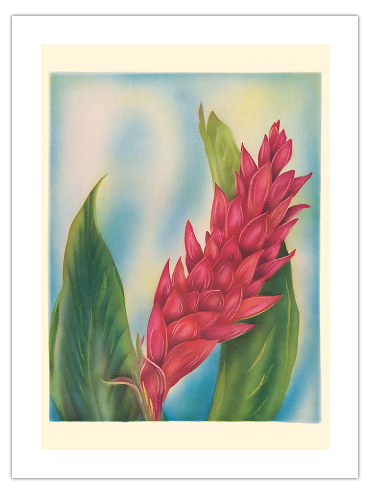 Hawaii Red Ginger - Vintage Hawaiian Airbrush Art by Tip Freeman c ...