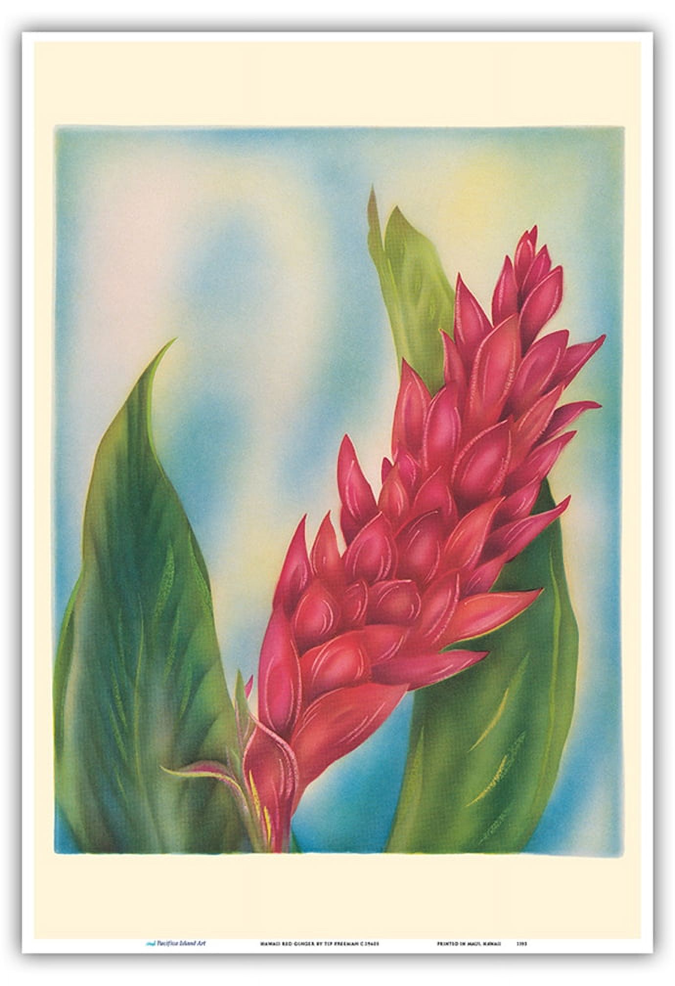 Hawaii Red Ginger - Vintage Hawaiian Airbrush Art by Tip Freeman c ...
