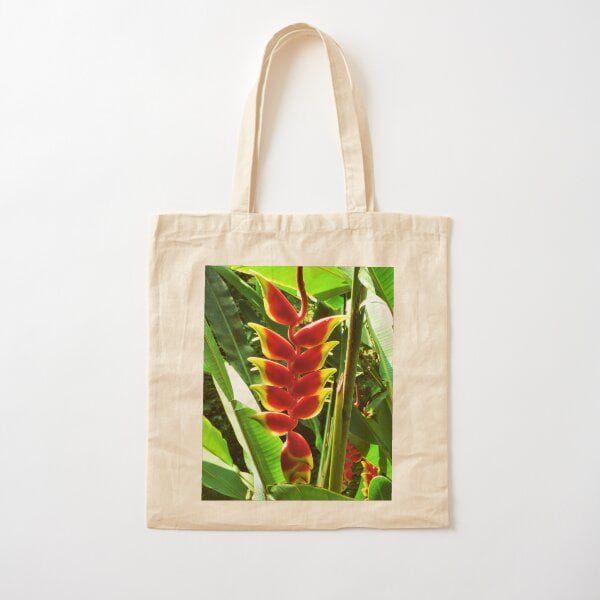 Hawaii, Tropical, Botanical Garden, Heliconia, Flower, Lobster Claw ...
