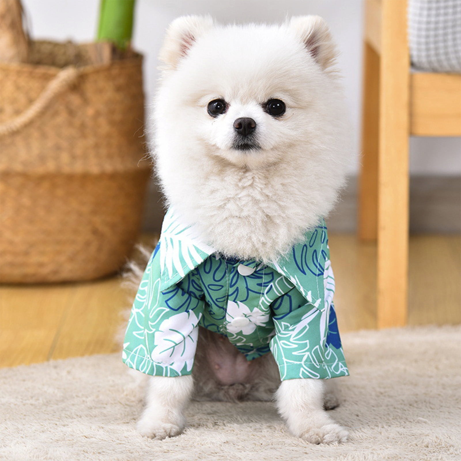 Hawaiian Coconut Palm Dog Shirt, DELESYS Tropical Summer Clothes for ...